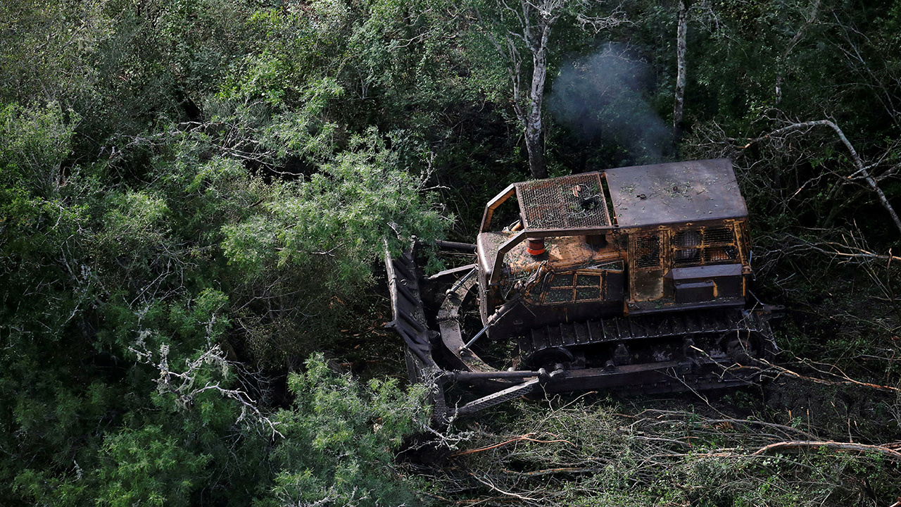 ARA mirades - Ara.cat