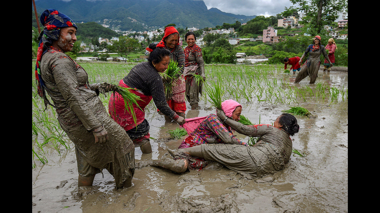 ARA mirades - Ara.cat