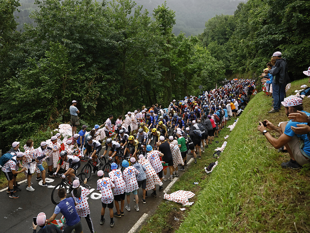 ARA mirades - Ara.cat